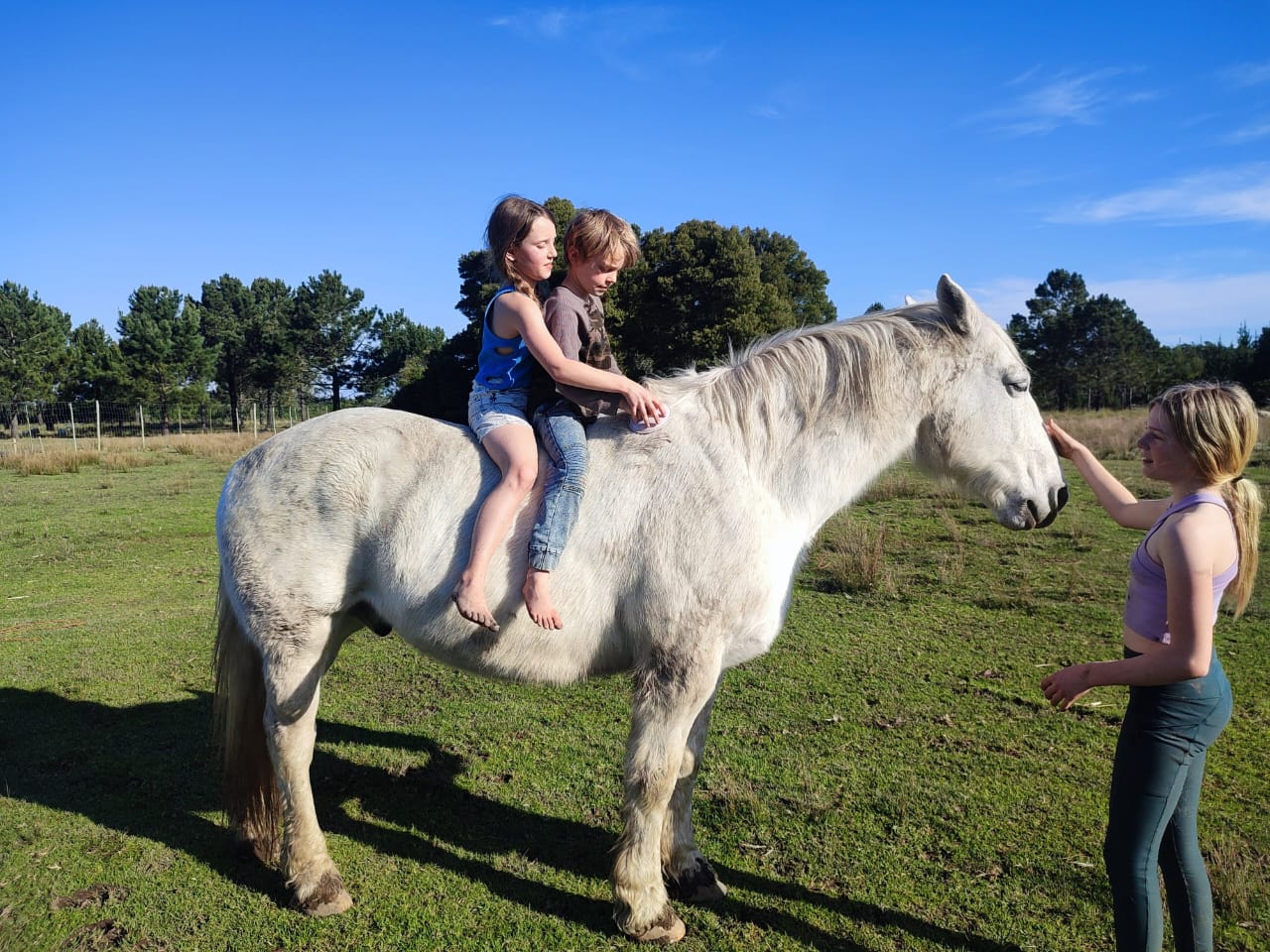 Blog | Daniela Rogers